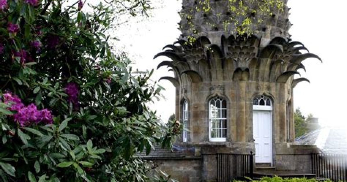 Airth and Dunmore Estate - Ramblers