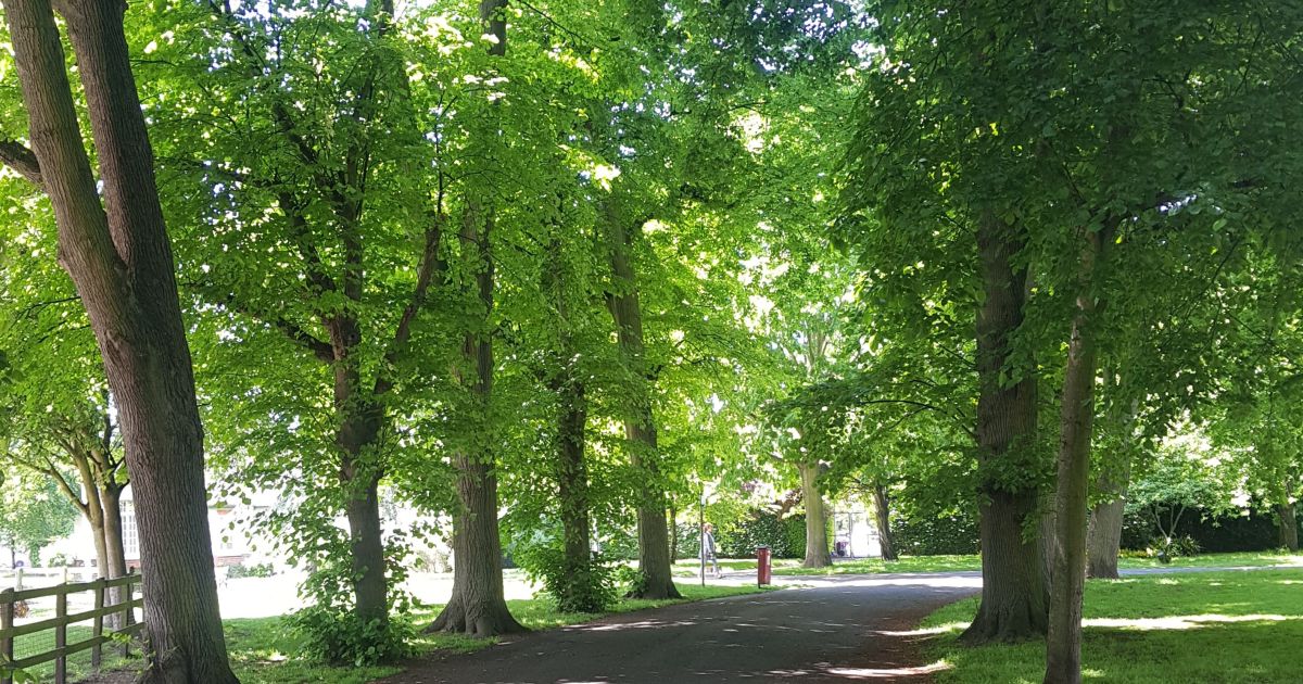 Park to Park Walk - Introductory Walk