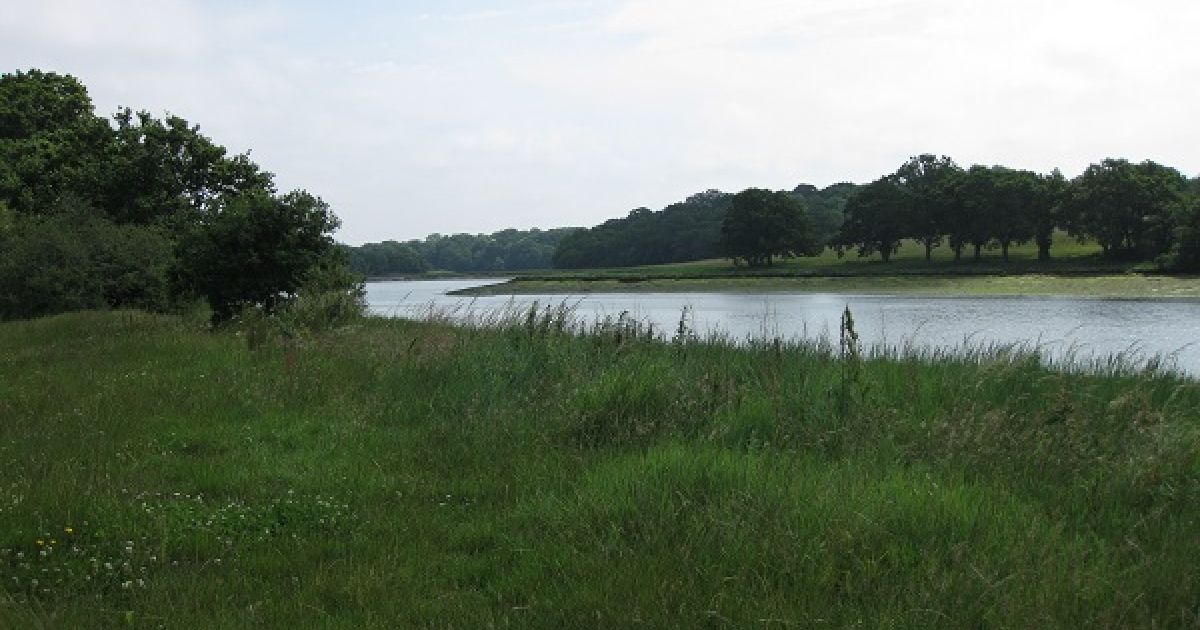 WALK NOW FULL around Goodworth Clatford - Ramblers