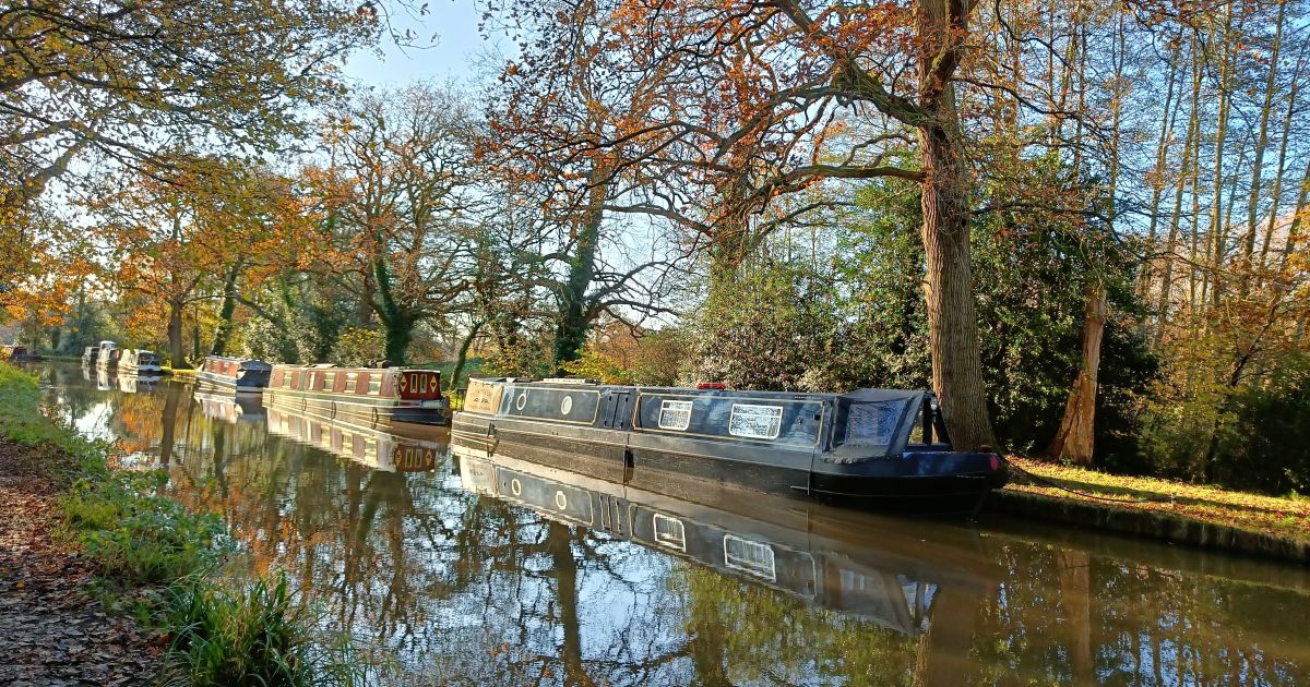 Newark Mill, Pyrford Lock and Ockham Mill - Ramblers