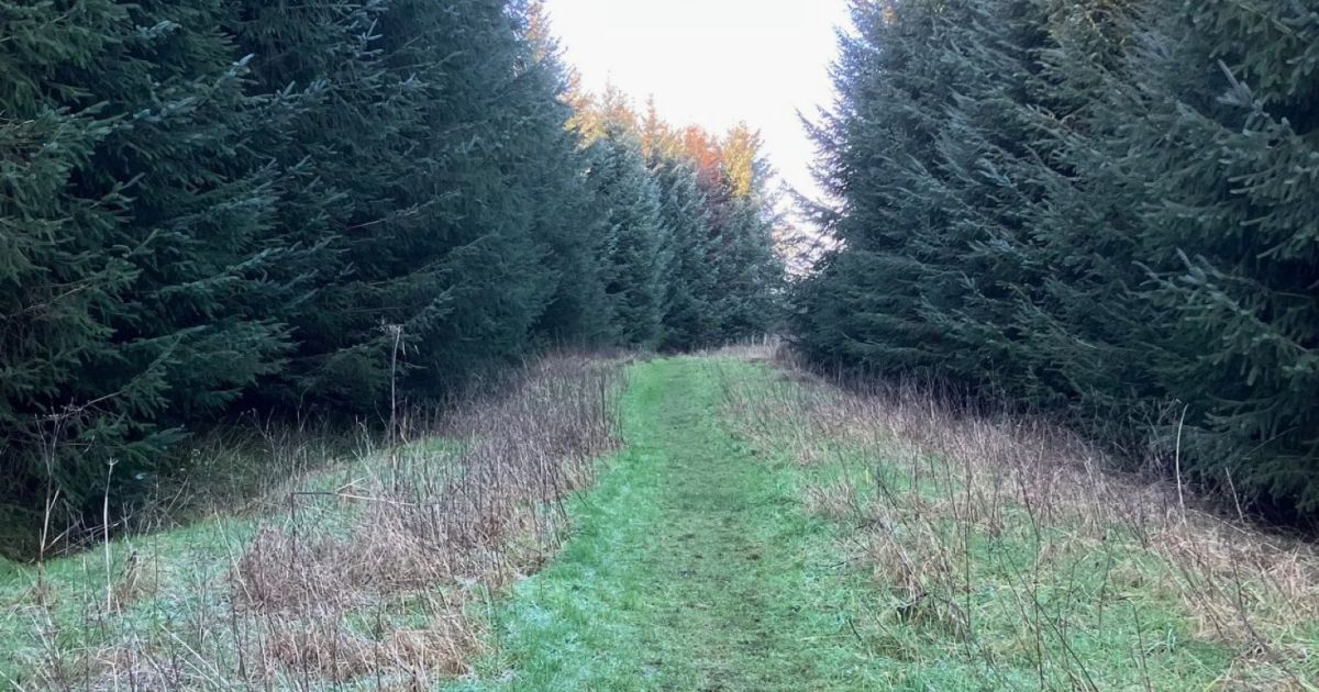 Glengarnock - Old Byways, New Highways - Ramblers