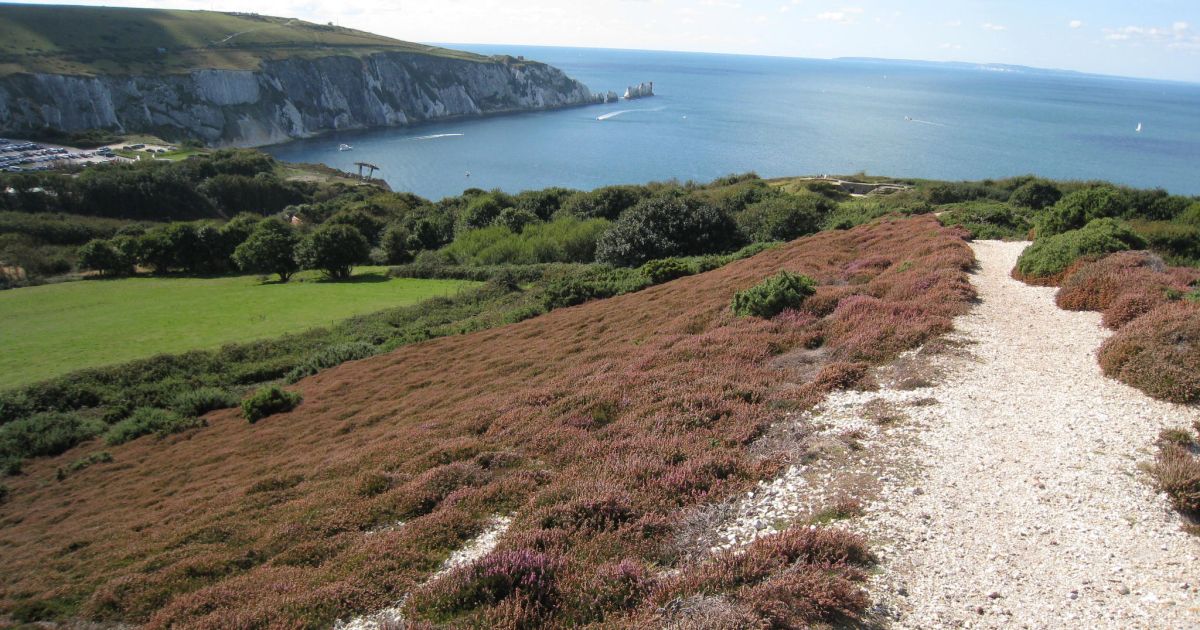 Tennyson Down and The Needles, Isle of Wight - Ramblers
