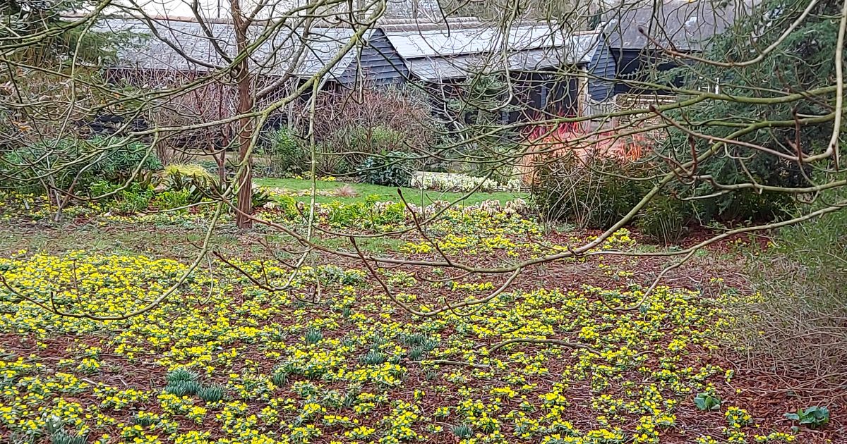 Ashdon figure of eight - Ramblers