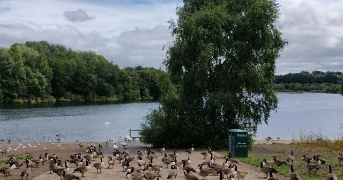 Sandwell Valley Nature Reserve (Great Barr) - Ramblers