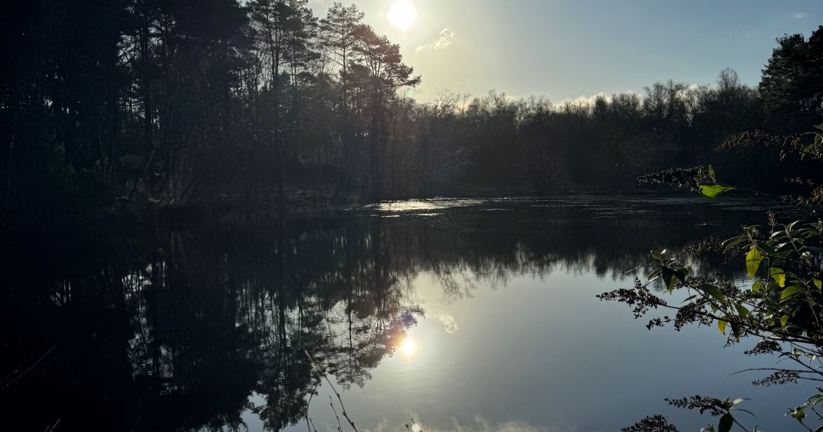 Yateley Common from The Ely Pub - Ramblers