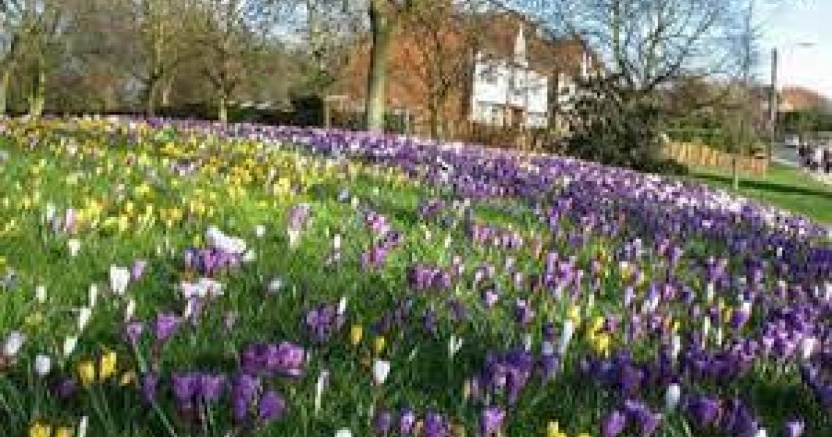 Bramcote Hills, Trowell, Nottingham Canal, Hemlock Stone - Ramblers