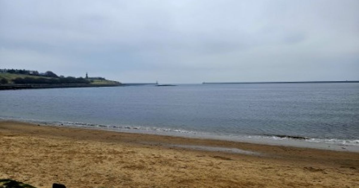South Shields (Via SS ferry to NS) to Seaton Sluice - Return By Bus and ...
