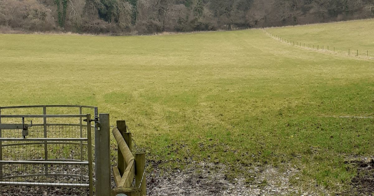 THE HANGERS WAY - SELBORNE TO HAWKLEY - Ramblers
