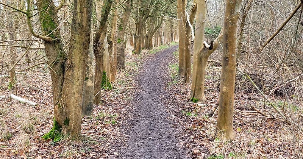 Roydon Station - Hunsdonbury - Eastwick - Harlow Town Station - Ramblers