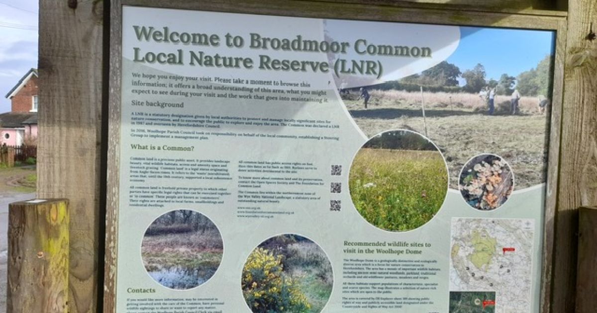 Haugh Woods to Sollers Hope Church - Ramblers