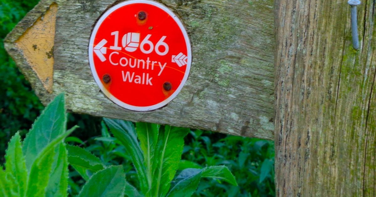 Three Oaks walk - Ramblers