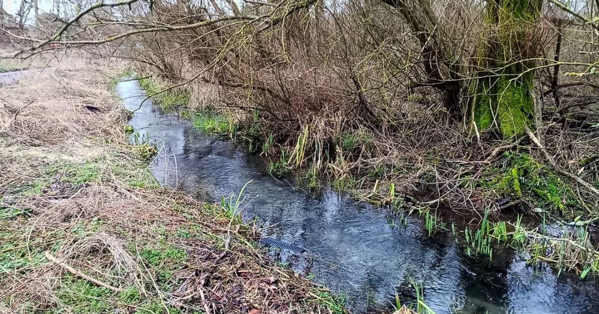 BLACKWOOD FOREST TO BROWN CANDOVER - Ramblers