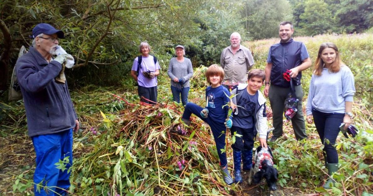 Balsam bashing in Six Acre Meadow. Joint event with SERT. - Ramblers