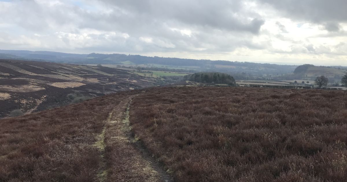 Appleton le Moors - Ramblers