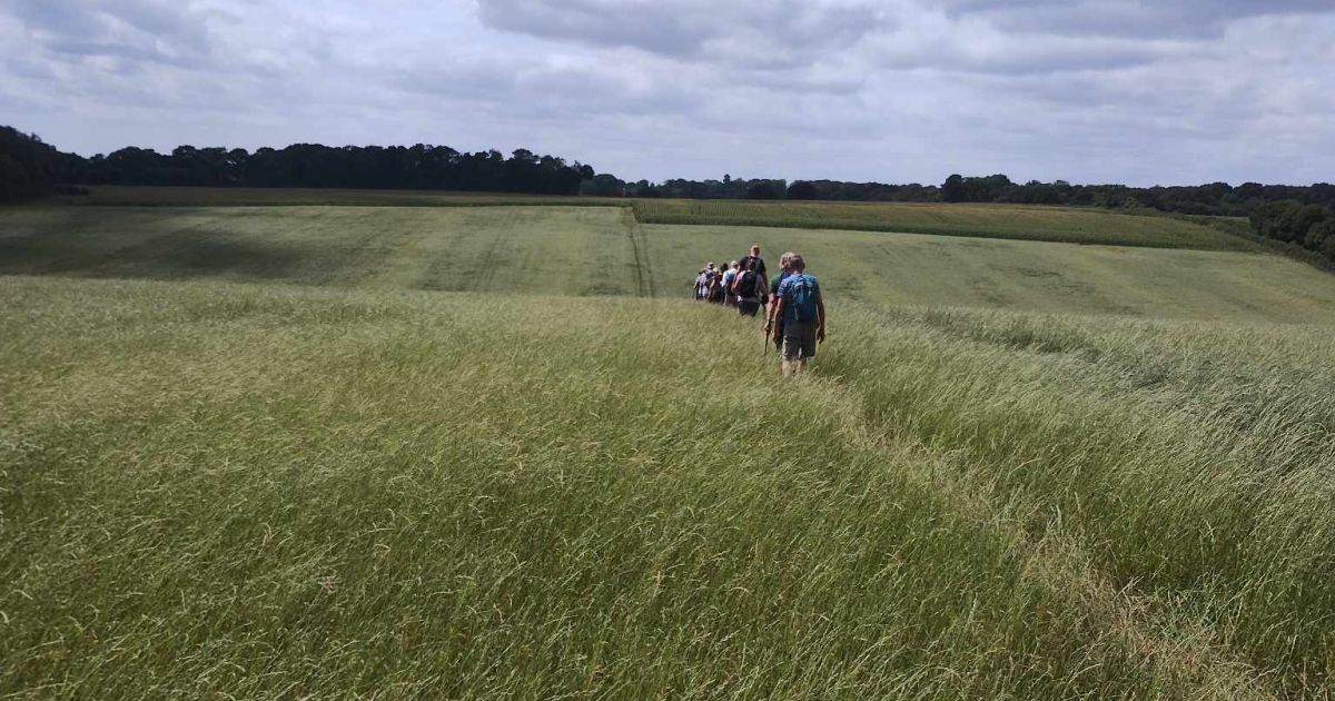 Braishfield Circular - Ramblers