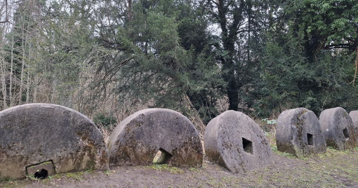 Chantry Wood and Gunpowder Mills - Ramblers