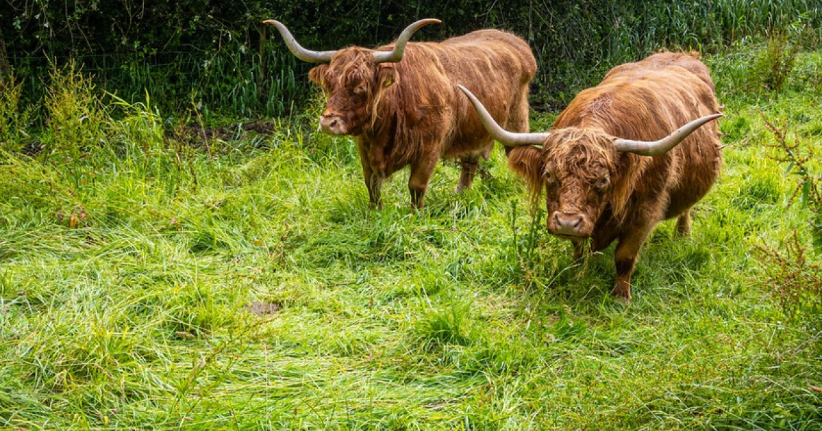 Cheriton circular - Ramblers