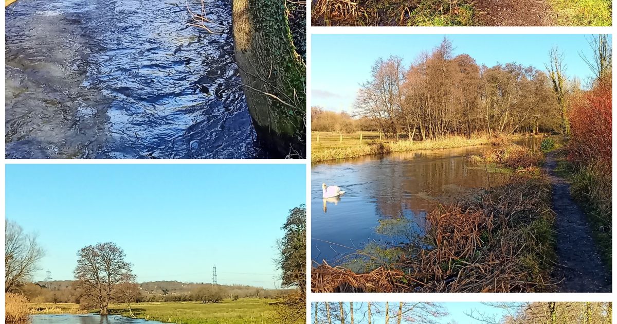 BISHOPSTOKE TO BRAMBRIDGE FOR CAKES - Ramblers