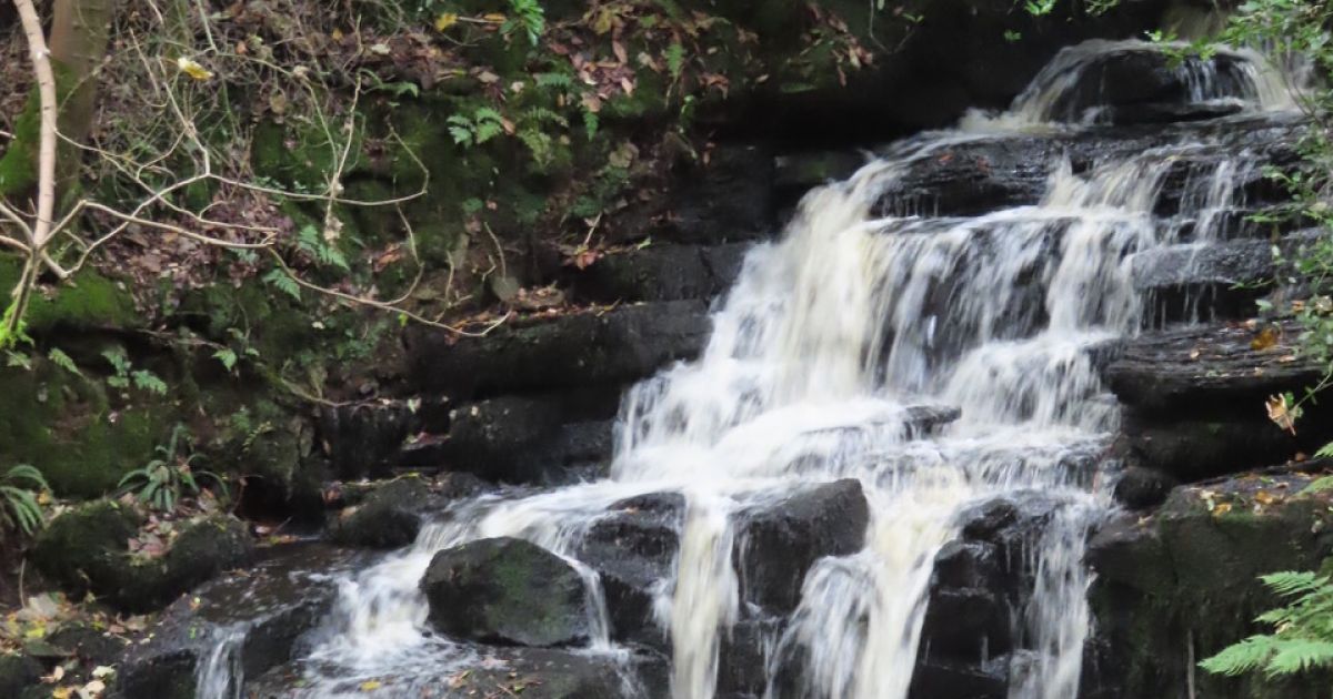 Matlock's Ledge and Gorges - Ramblers
