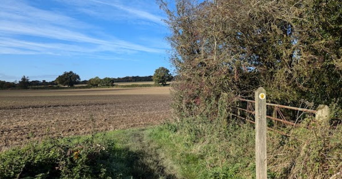 Nomansland Circular - Ramblers