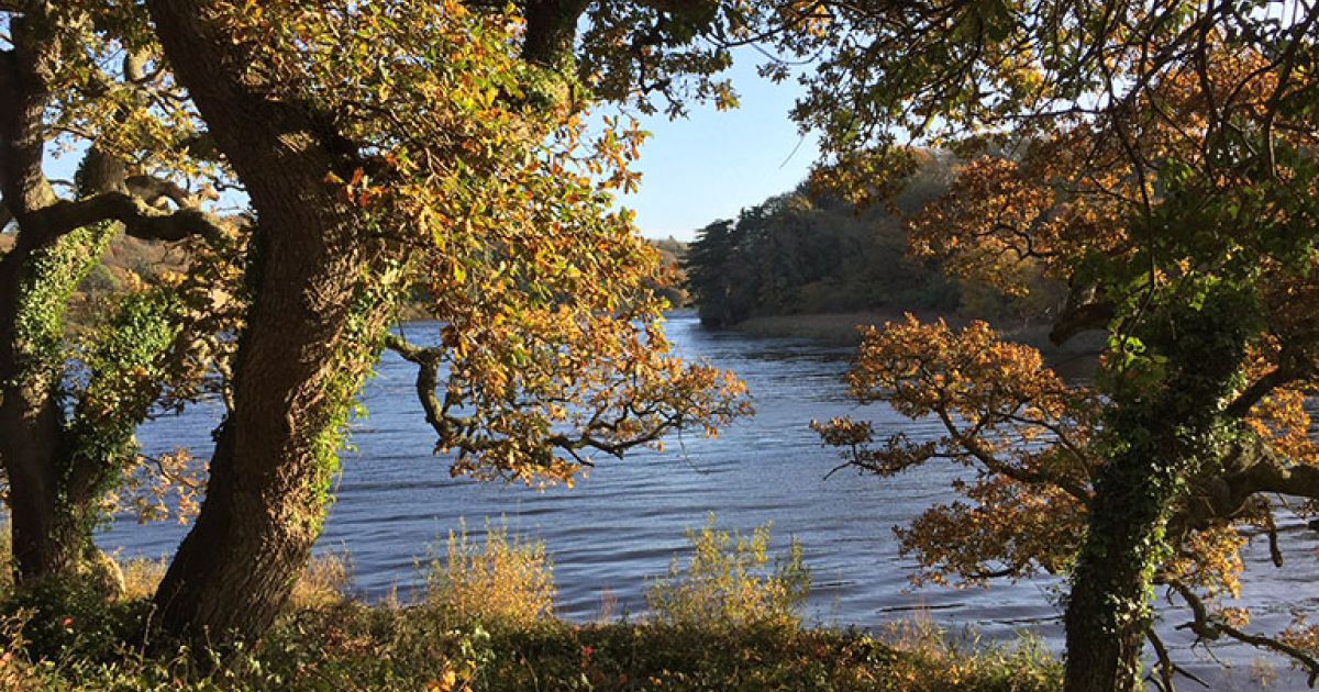 Helston to Porthleven Circular - Ramblers