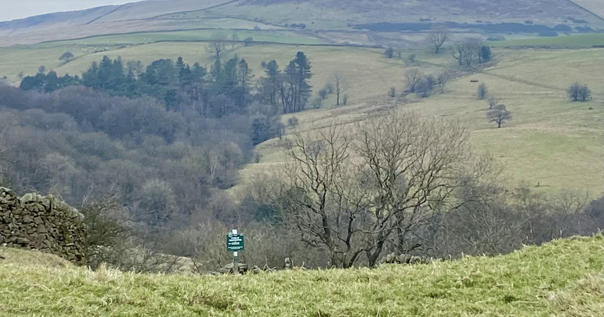 A Different Disley - Ramblers