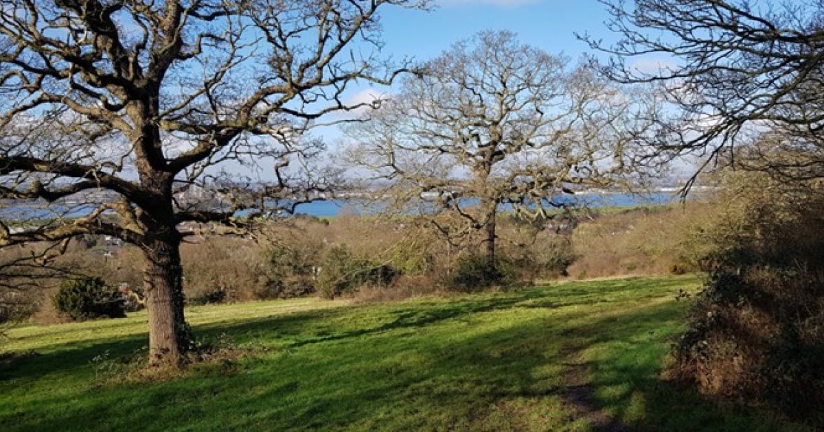 Epping Forest Circular from Chingford - Ramblers