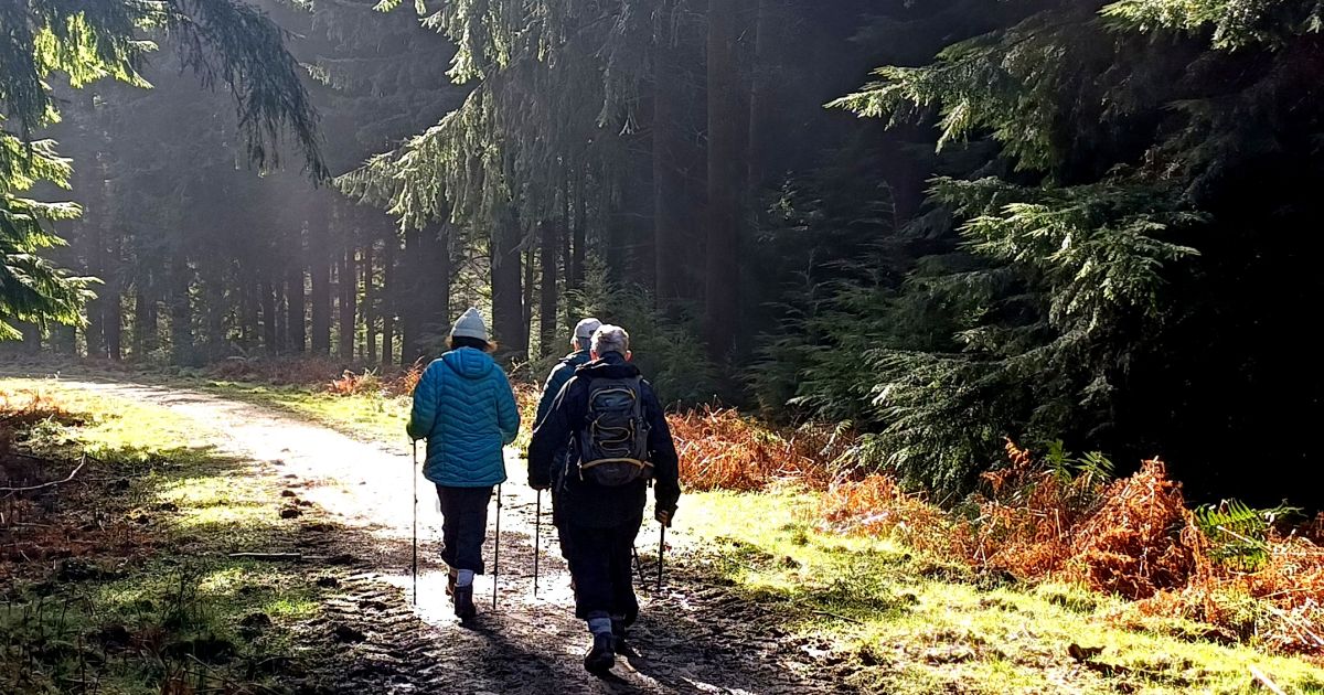 Ruardean Hill Plantation - Ramblers