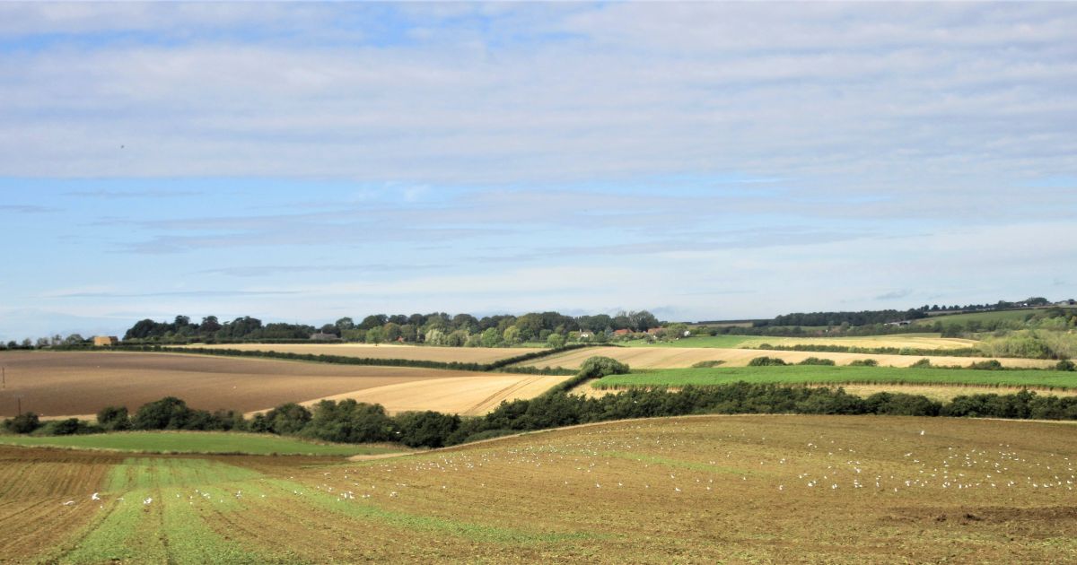 Maidenwell - Ramblers