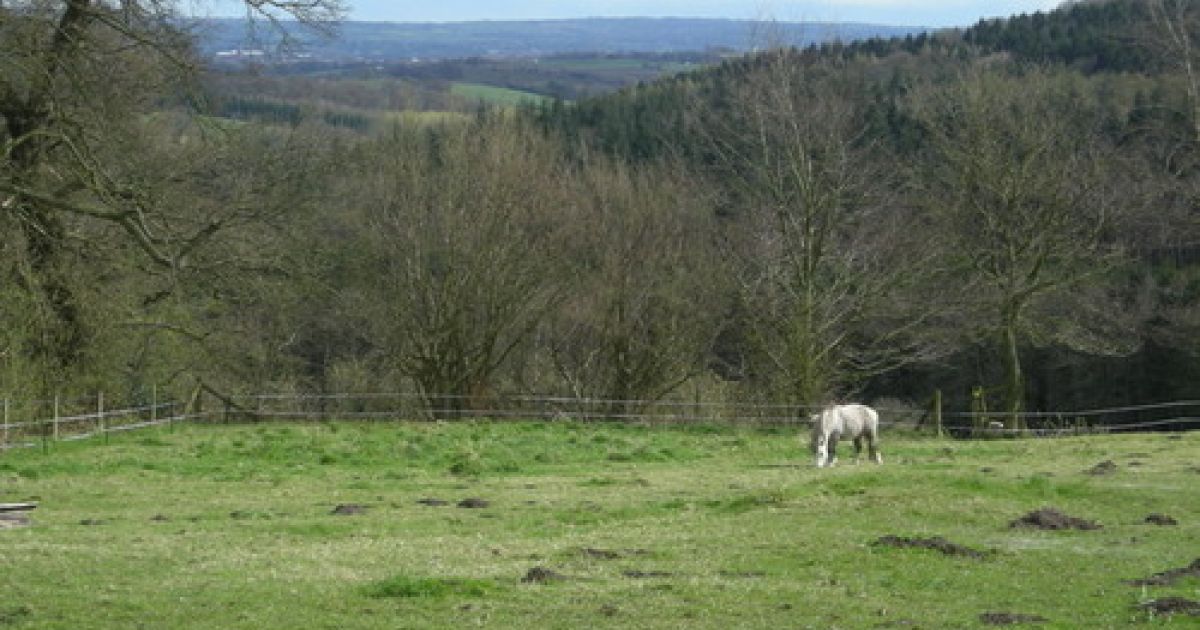 Much Wenlock and Barrow (Shropshire) 8.5m Sun 30/03/25 - Ramblers