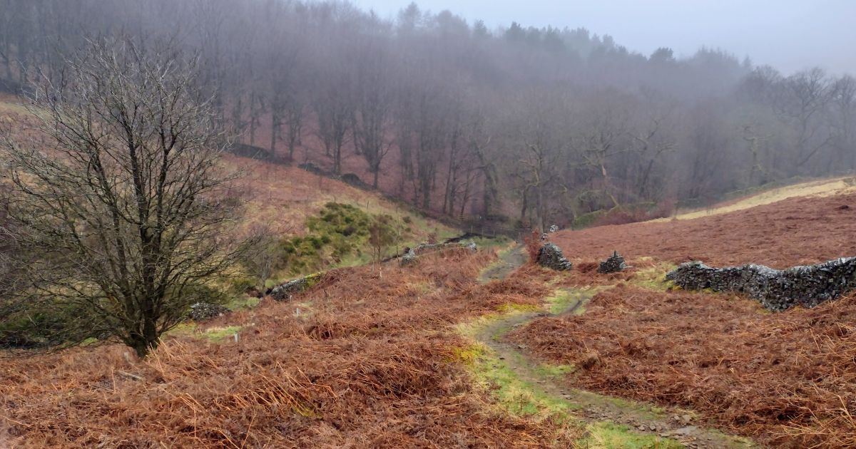 Chapel-en-le-Frith to Whaley Bridge - Ramblers