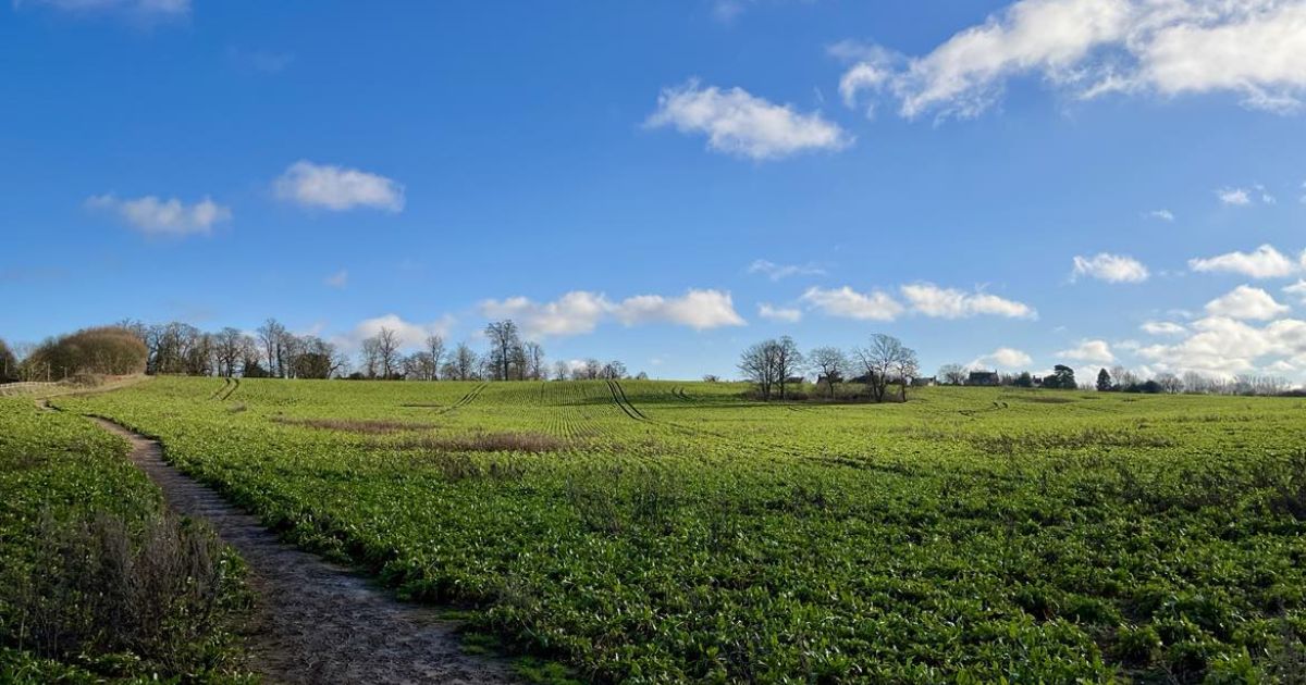 International Women's Day/Intro Walk: HOOP #2 - Hitchin & Charlton:5 mi ...