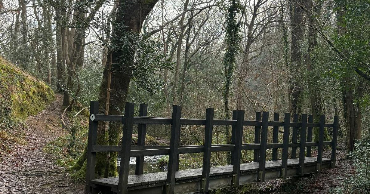 Clyne Common, Clyne brickworks and Clyne Gardens - Ramblers