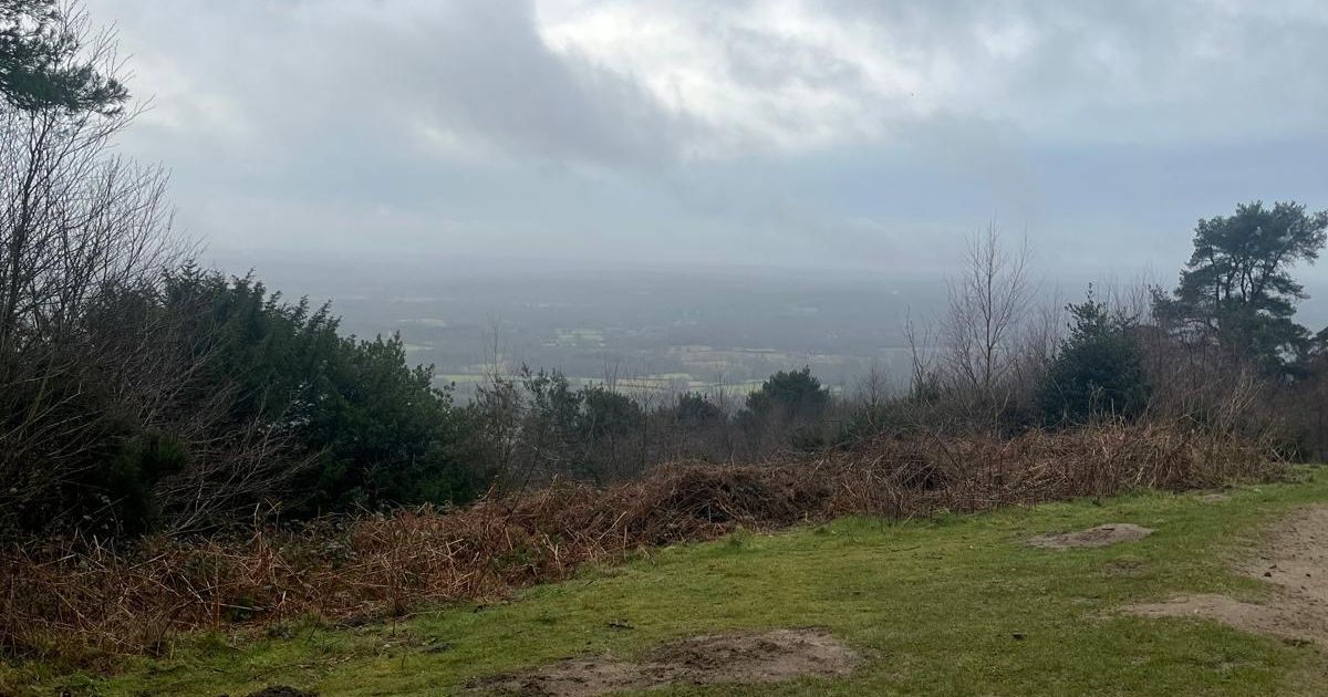 Newlands, Chantries and round St Martha's - Ramblers