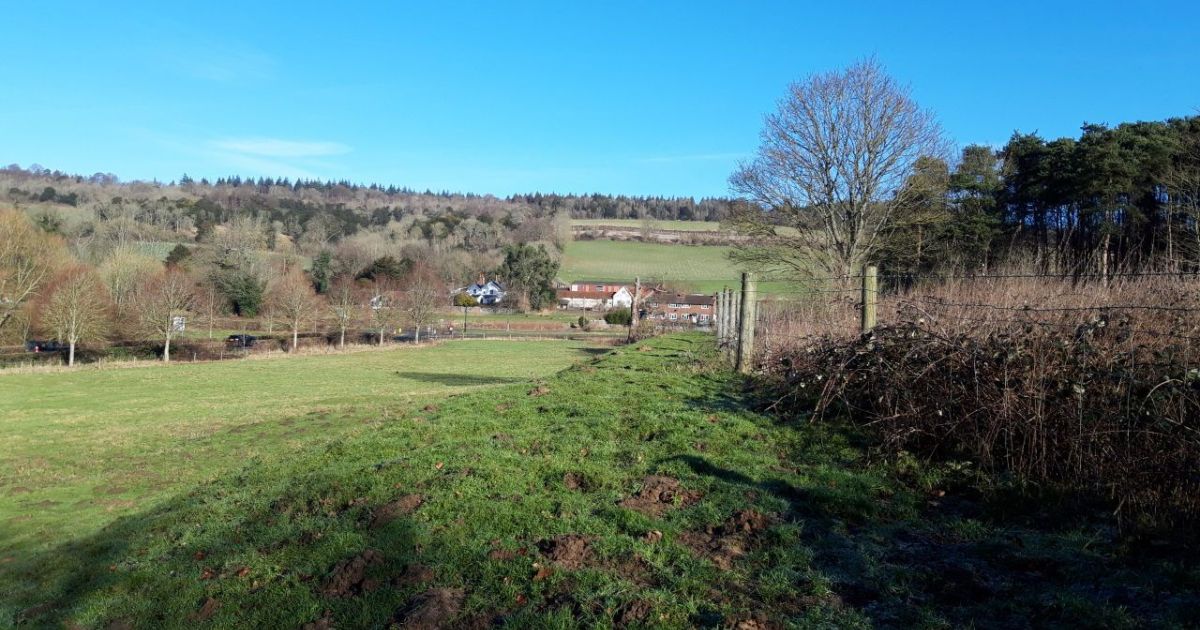 Newlands Corner and Merrow Downs - Ramblers