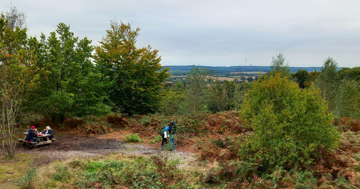 Perry Wood walk - Ramblers