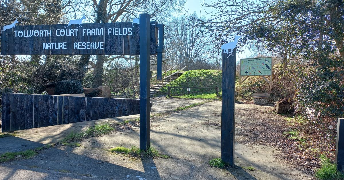 Litter picking Walk at Tolworth Court Farm - Ramblers