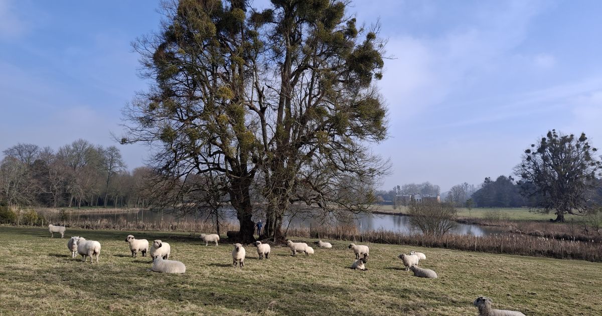 Around Itchen Abbas - Ramblers