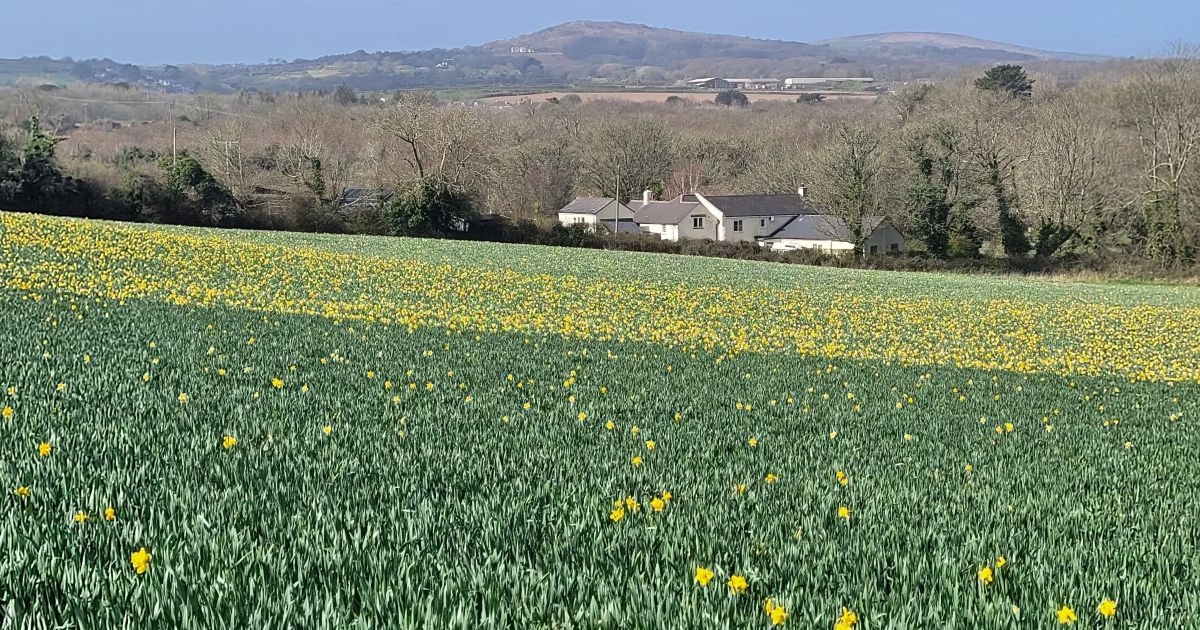 Circular walk around St Erth [PLEASE BOOK] - Ramblers