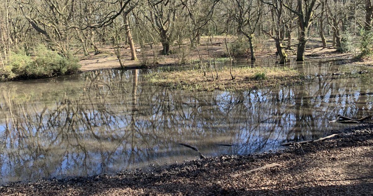 Across North London - Ramblers
