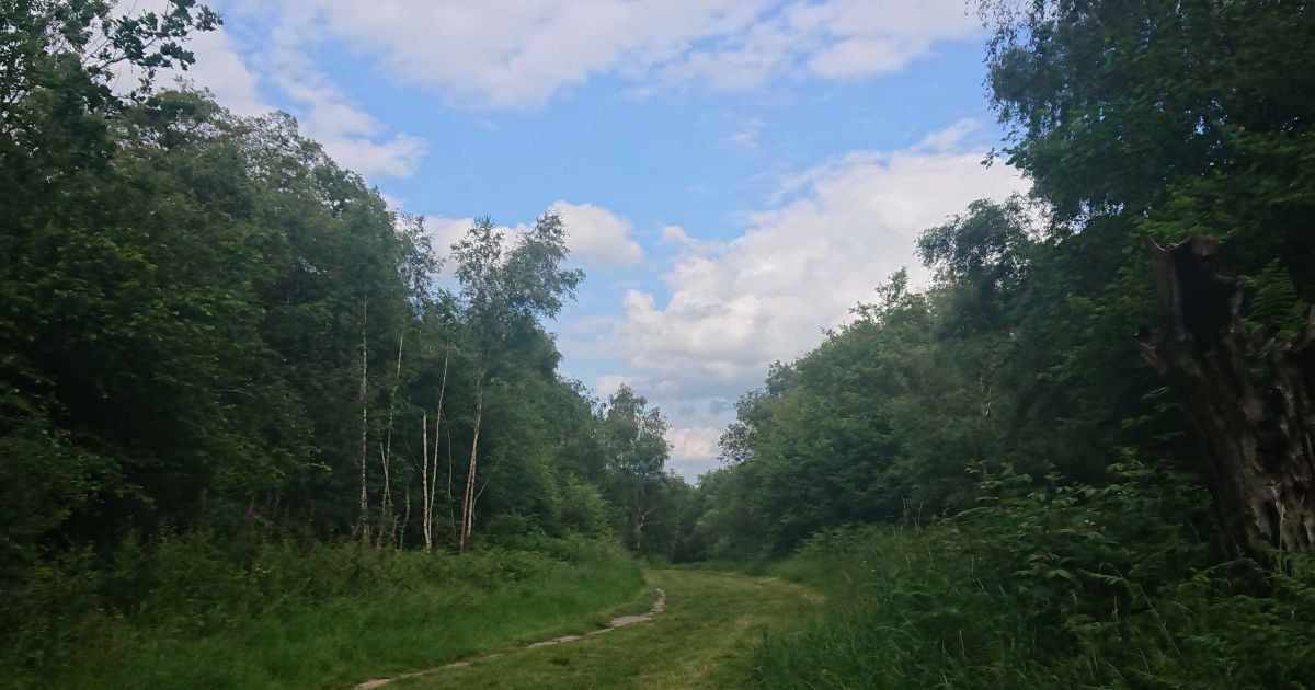 Ashtead Circular - Ramblers