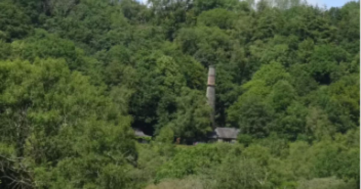 Calstock Quay to Okeltor Circular