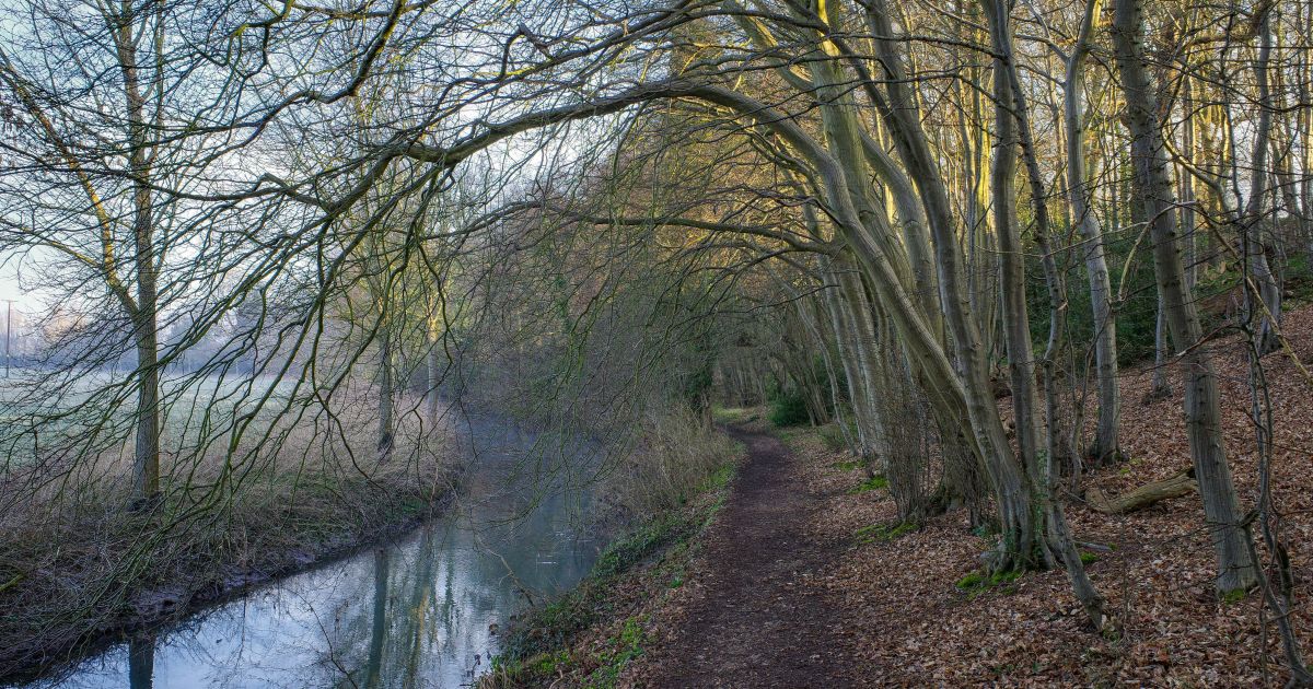 Waterford Nature Reserve and the River Beane - Ramblers