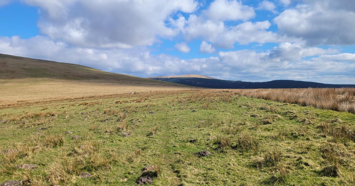 Rosebush, Ty Rhug and Bwlch Pennant - Ramblers