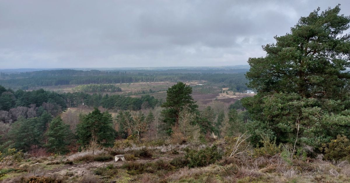 Frensham Little Pond and Common - Ramblers