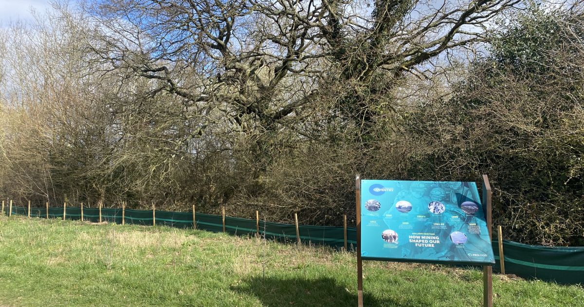 Keresley Community Library Walk