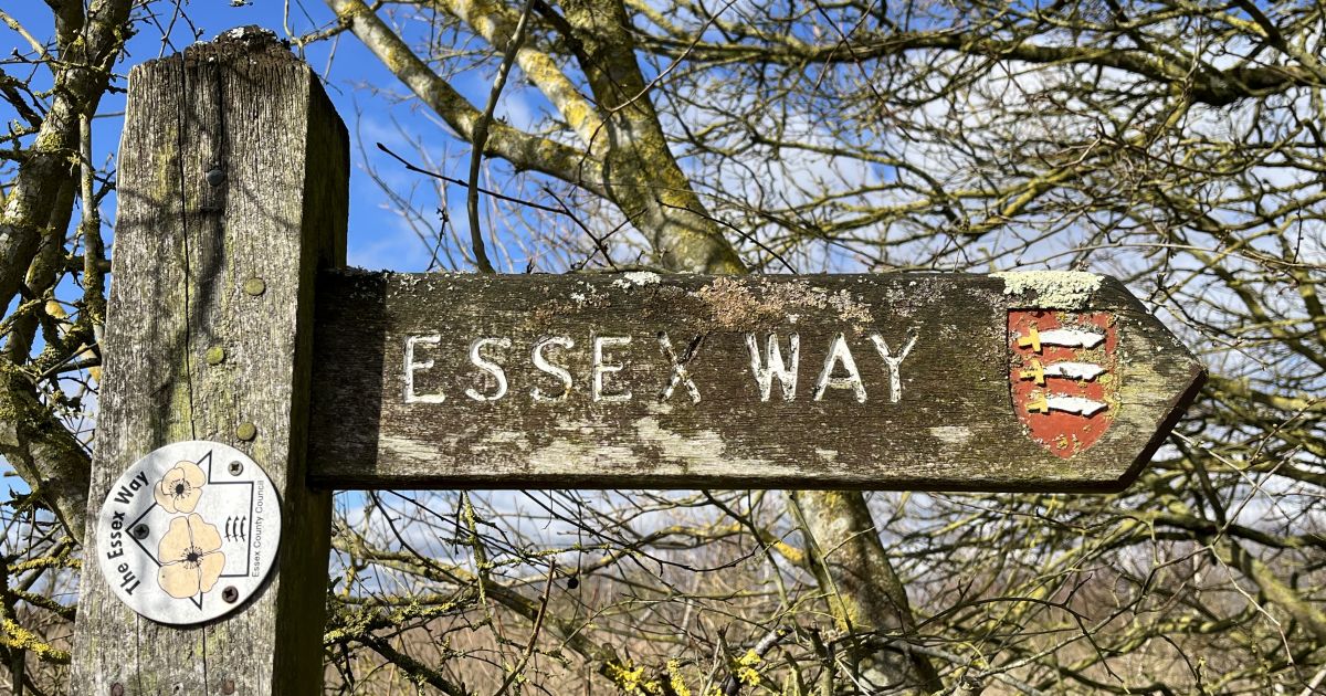 Essex Way Part 4: Great Waltham to White Notley - Ramblers