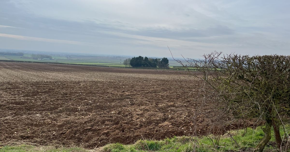 Big skies and wide views - a walk from Little Driffield - Ramblers