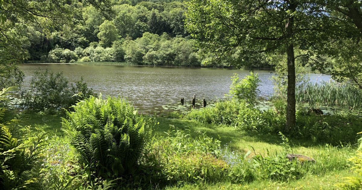 Llansilin to Moelfre and beyond - Ramblers