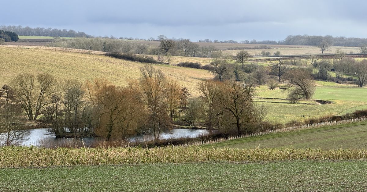 Standon Figure-of-Eight Walk - Ramblers